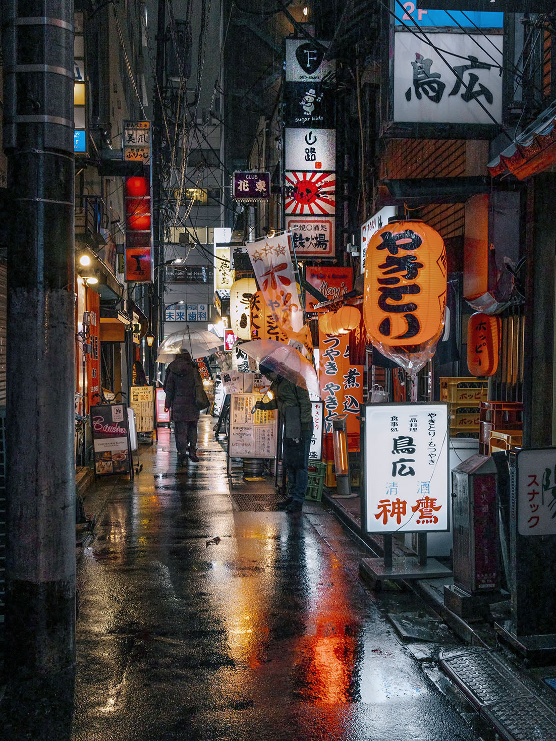 Hiroki Harada - Hiroki 25 – BLUE SHAKER