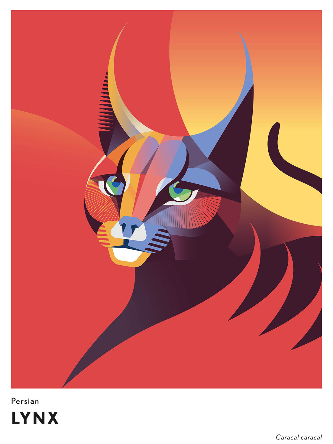 Mark Harrison - Animal Lynx – BLUE SHAKER