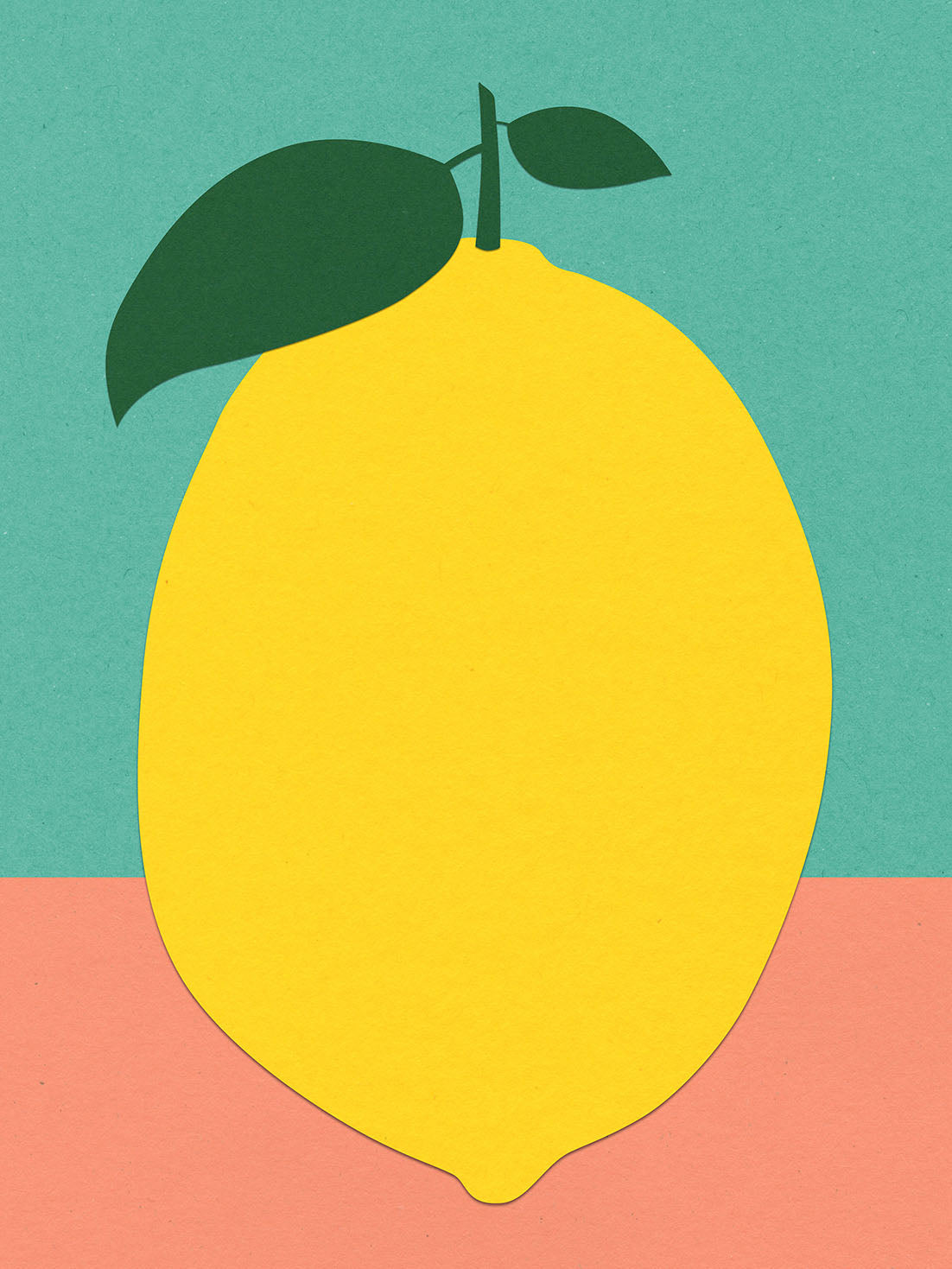 Rosi Feist - Lemon With Two Leaves – BLUE SHAKER