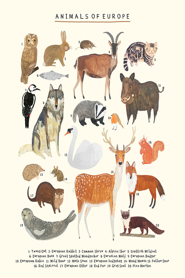 Darcie Olley - Animals Of Europe – BLUE SHAKER