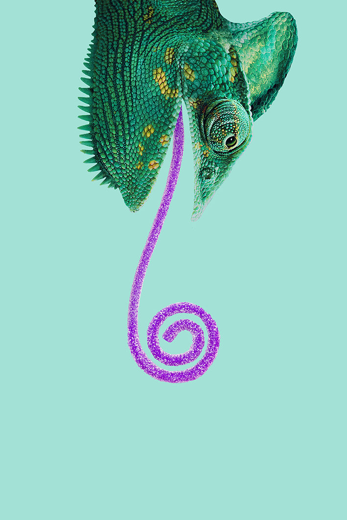 Jonas Loose - Candy Chameleon – BLUE SHAKER