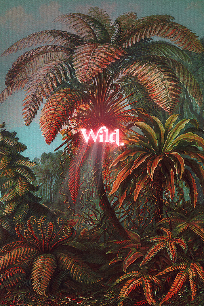 Jonas Loose - Wild – BLUE SHAKER